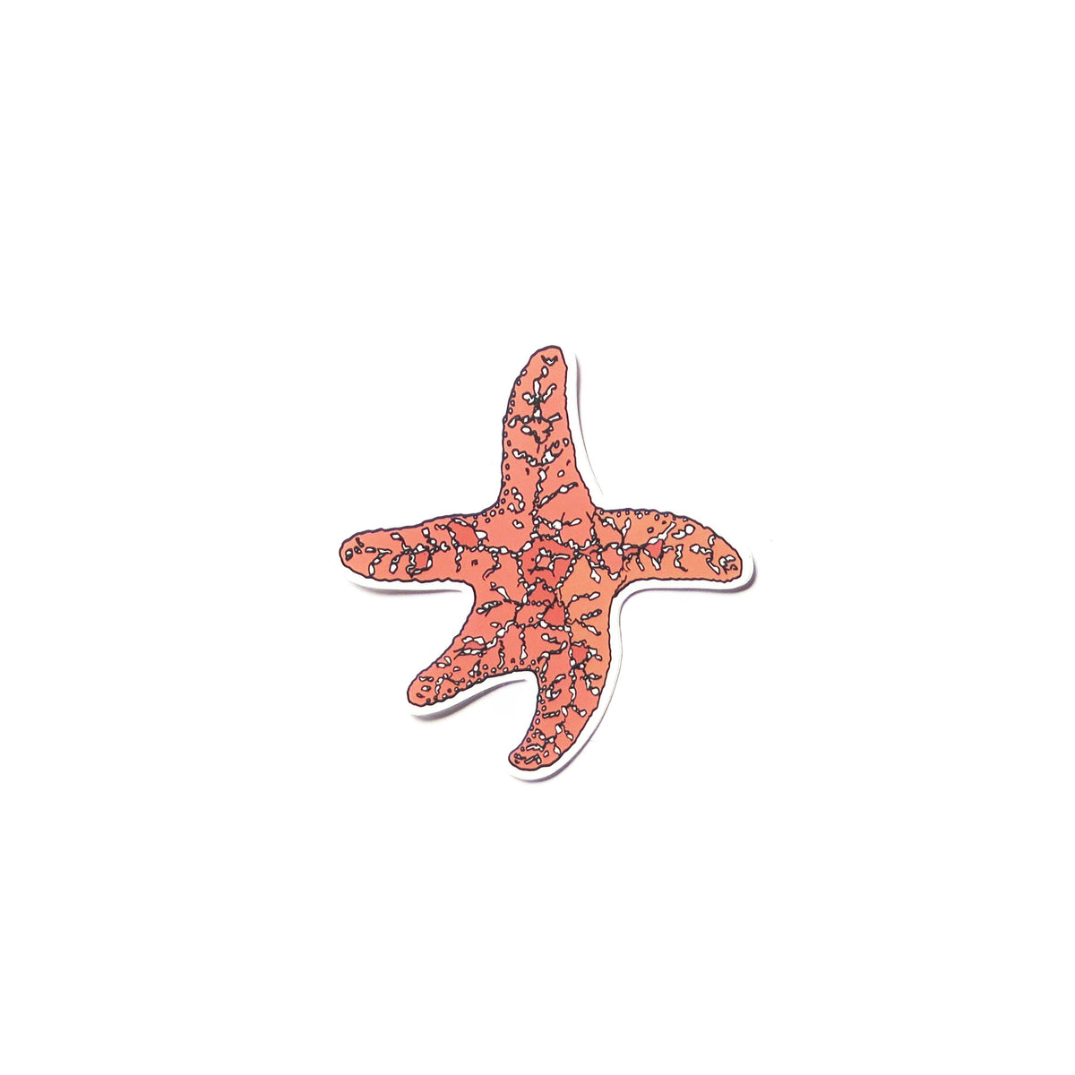 Orange Sea Star Sticker — Island-ish™