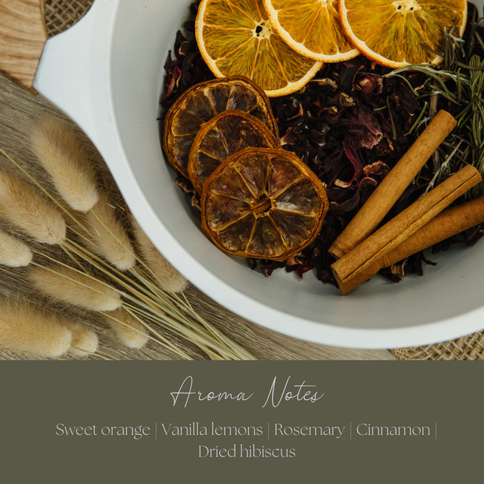 Be Ember Simmer Pot Mix, Natural Autumn Citrus Spice Aroma — Island-ish™